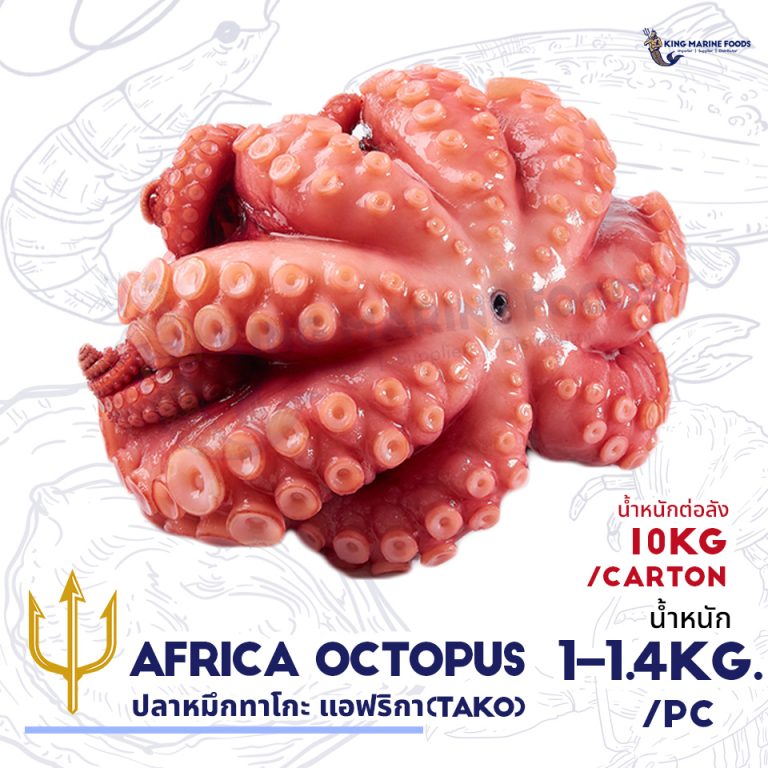 AFRICA OCTOPUS – King Marine