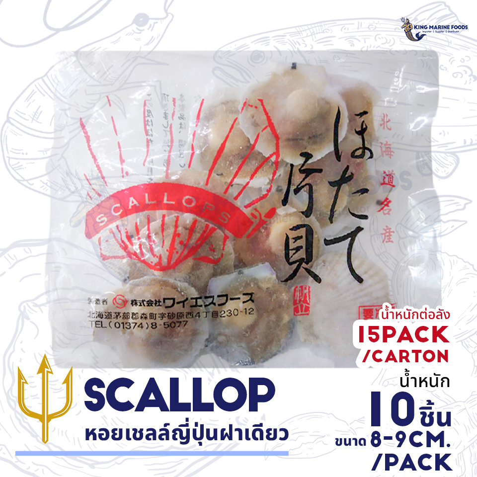Scallop&Shell – King Marine
