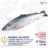 Fish – King Marine