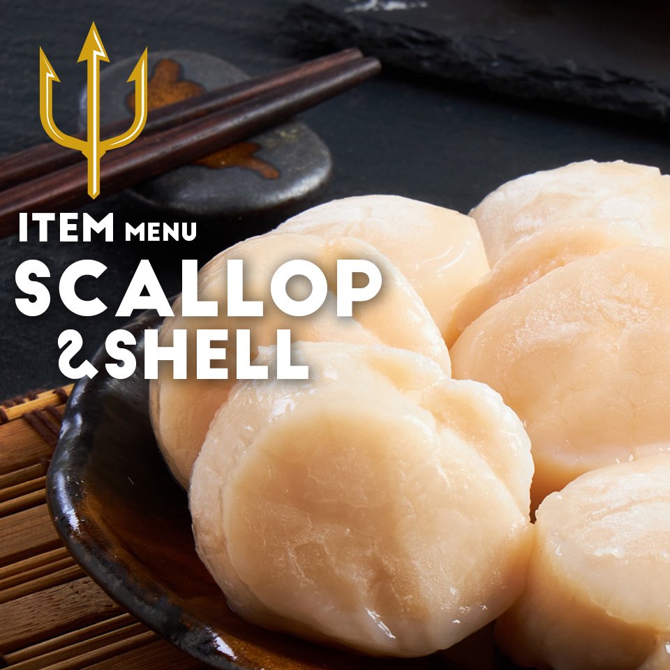 Scallop&Shell – King Marine