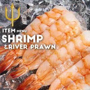 Products – King Marine