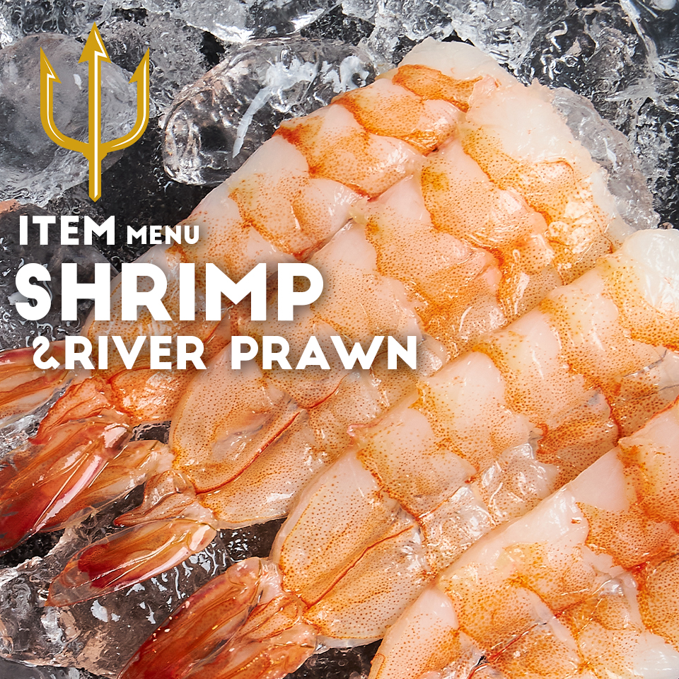 Products – King Marine