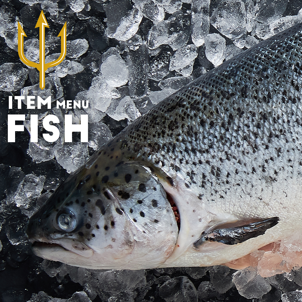 Fish – King Marine