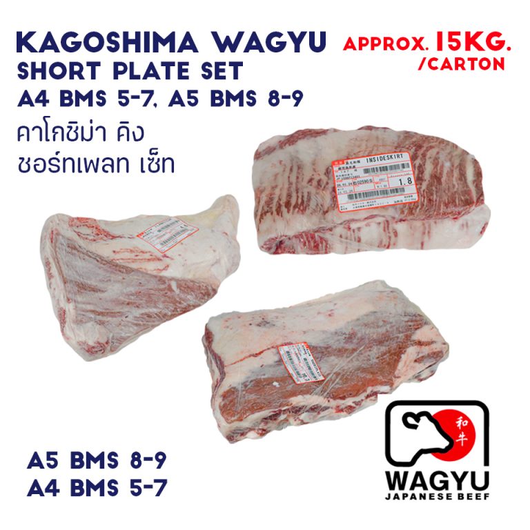 KAGOSHIMA KING SHORT PLATE SET - King Marine