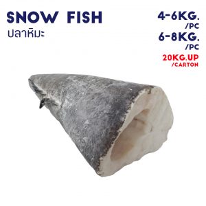 Fish ปลาหลายสายพันธุ์เกรดนำเข้า คุณภาพดีเยี่ยม